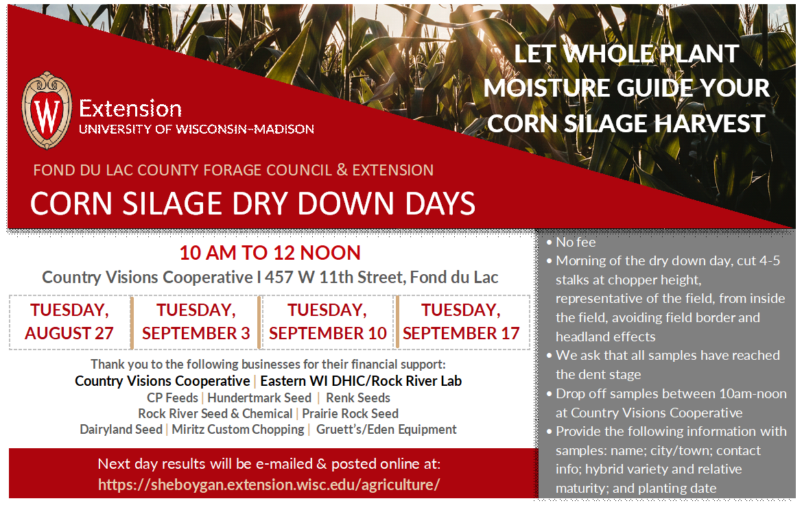 Corn Silage Harvest Management – Extension Fond du Lac County